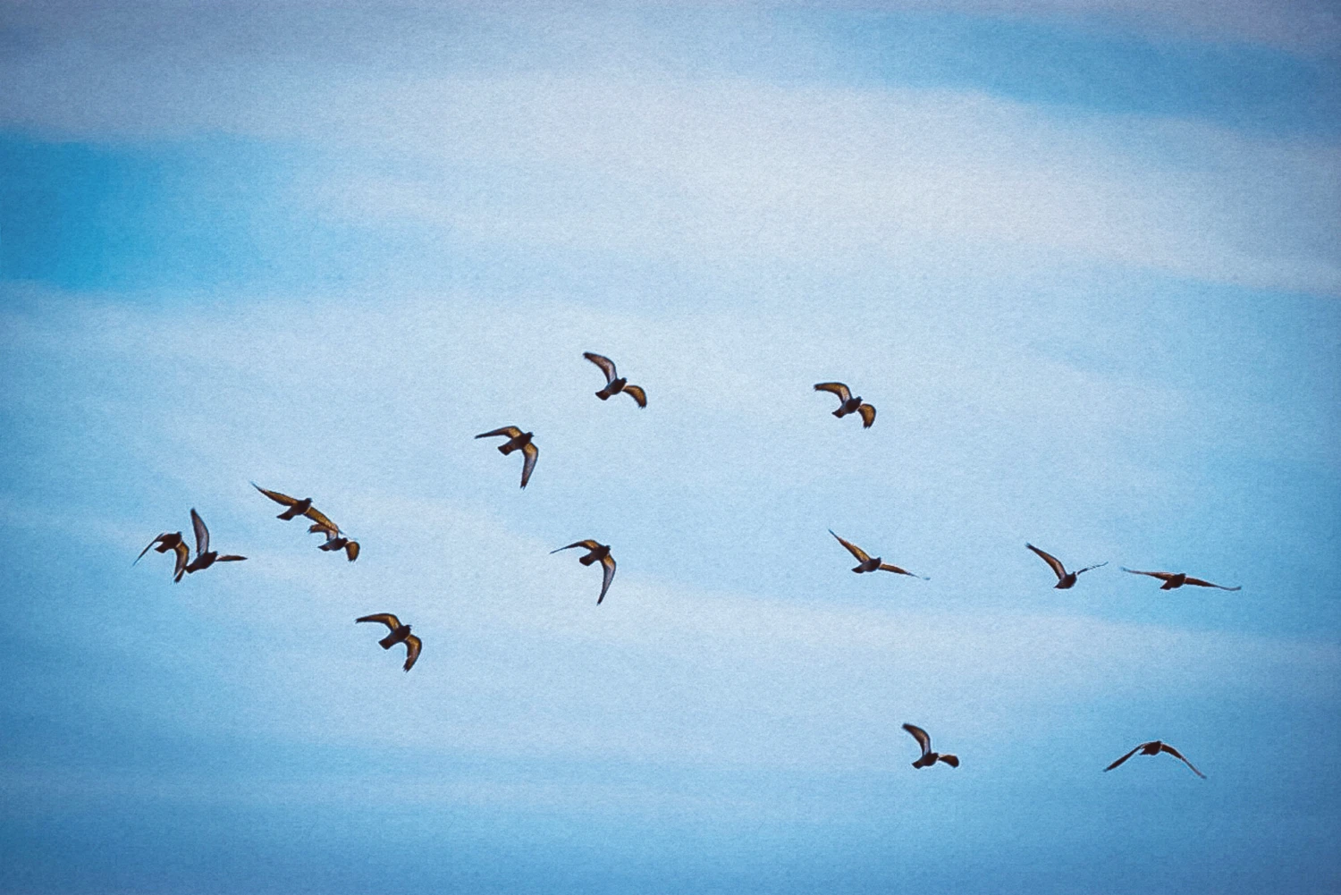 How To Move Your Twitter Following To Bluesky Grow Bluesky